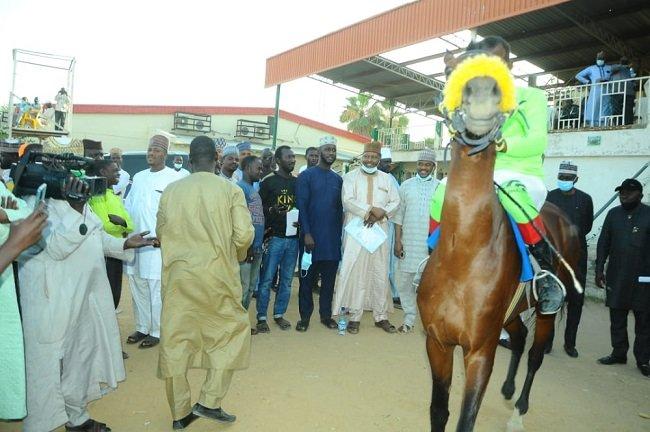 Horse racing competition attracts large audience in Kano – Dateline Nigeria